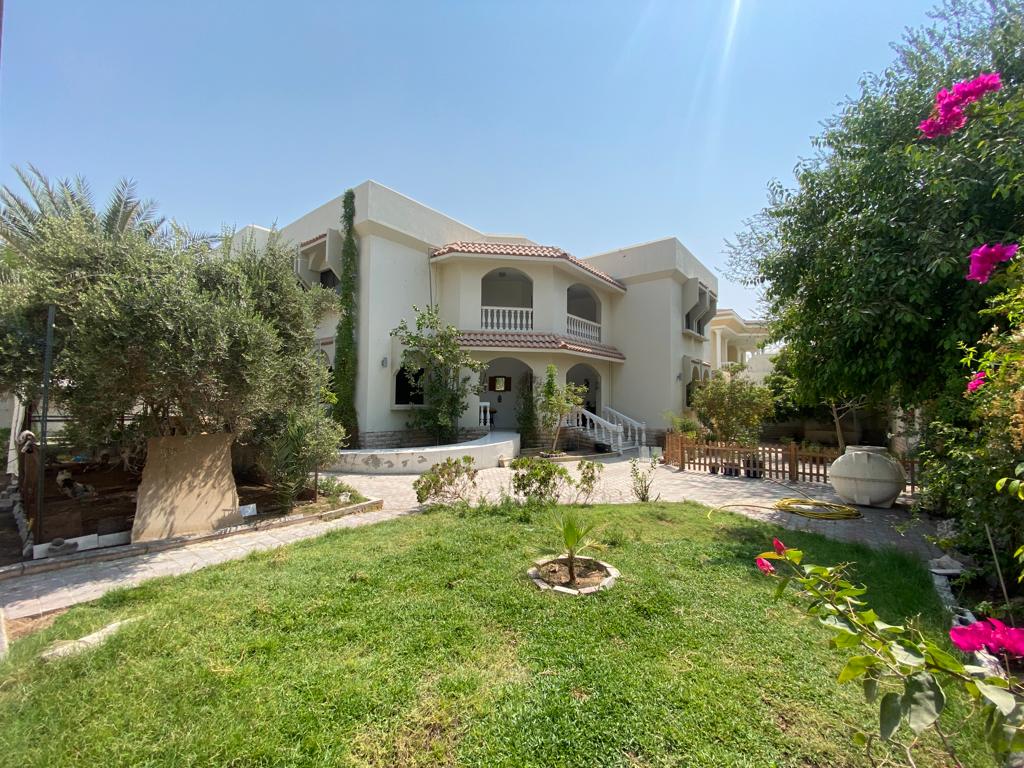 Al Safa 1 Area Guide | Bayut