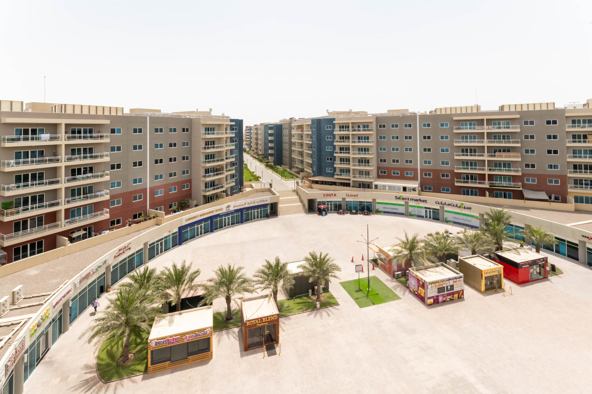 Al Reef Area Guide | Bayut