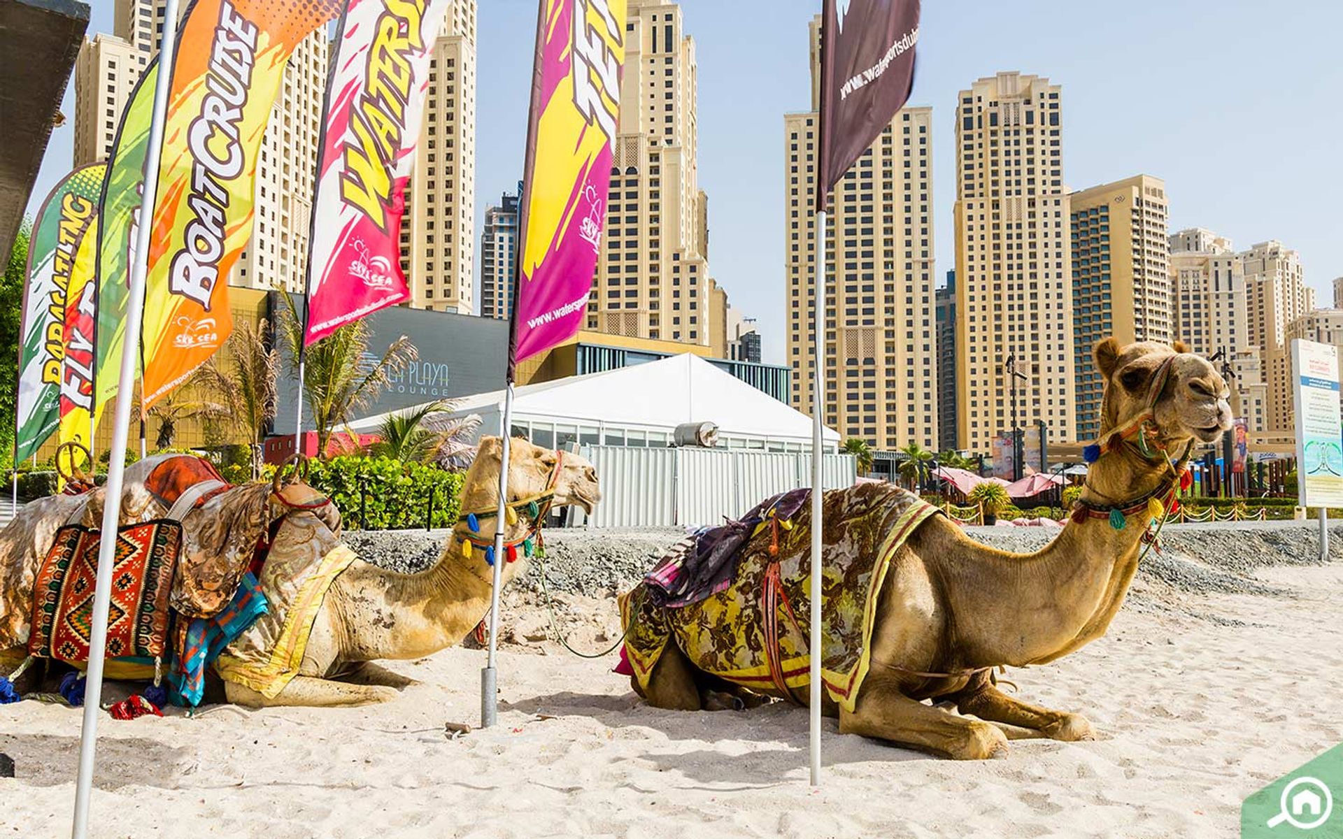 The Atlantic Dubai Marina Building Guide | Bayut