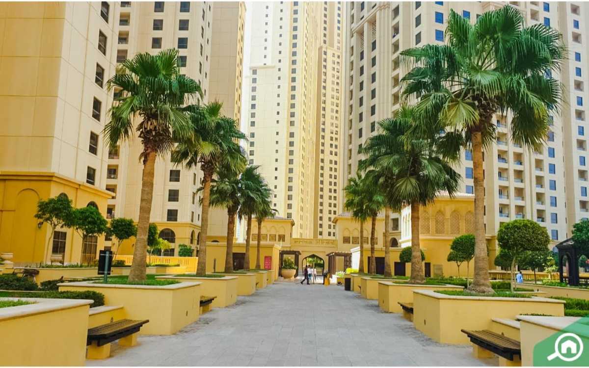 Sadaf 1 Building Guide | Bayut