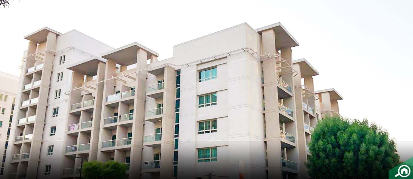 Al Samar Building Guide | Bayut