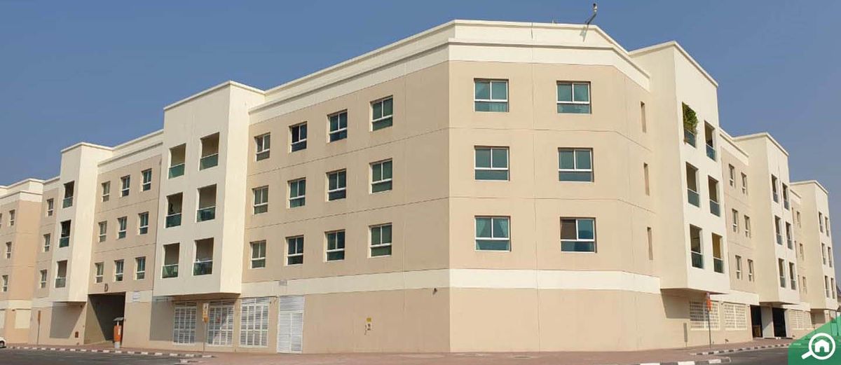 Al Wasl Buildings | Bayut
