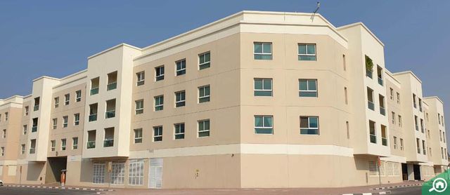 Al Wasl Buildings | Bayut