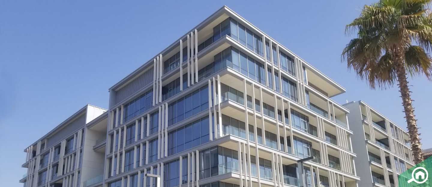 Building 3B, Jumeirah Guide | Bayut