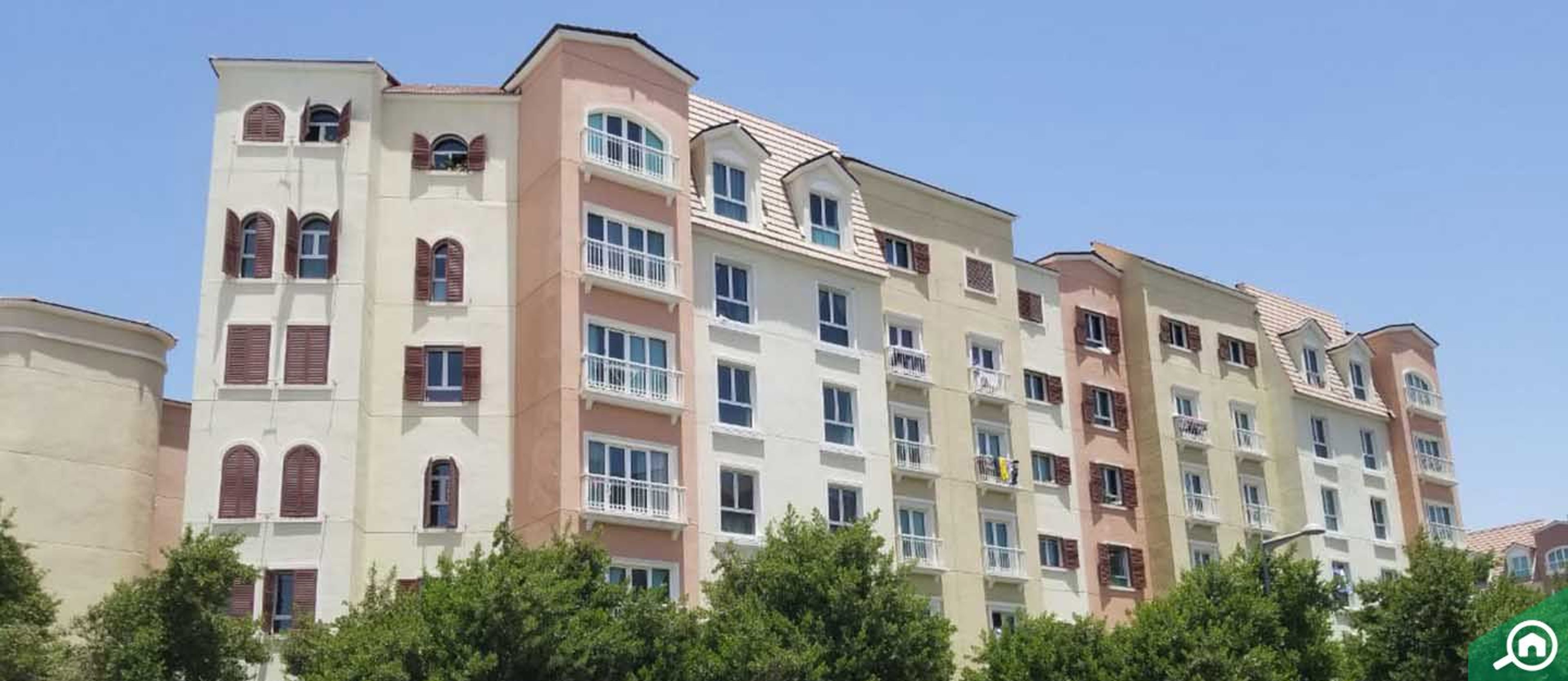 Building 79 Guide | Bayut