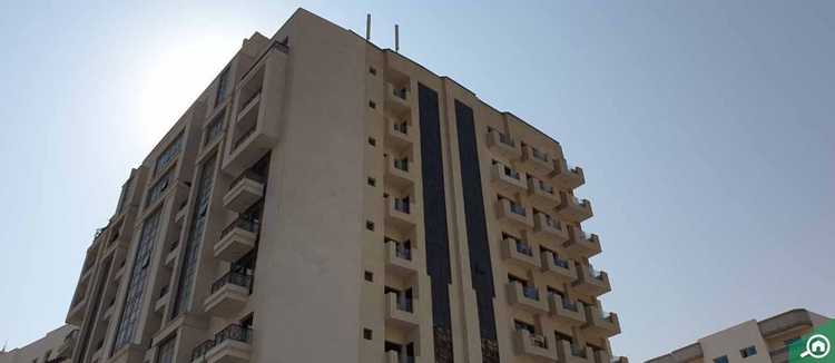 Cartel 2 Building Guide | Bayut