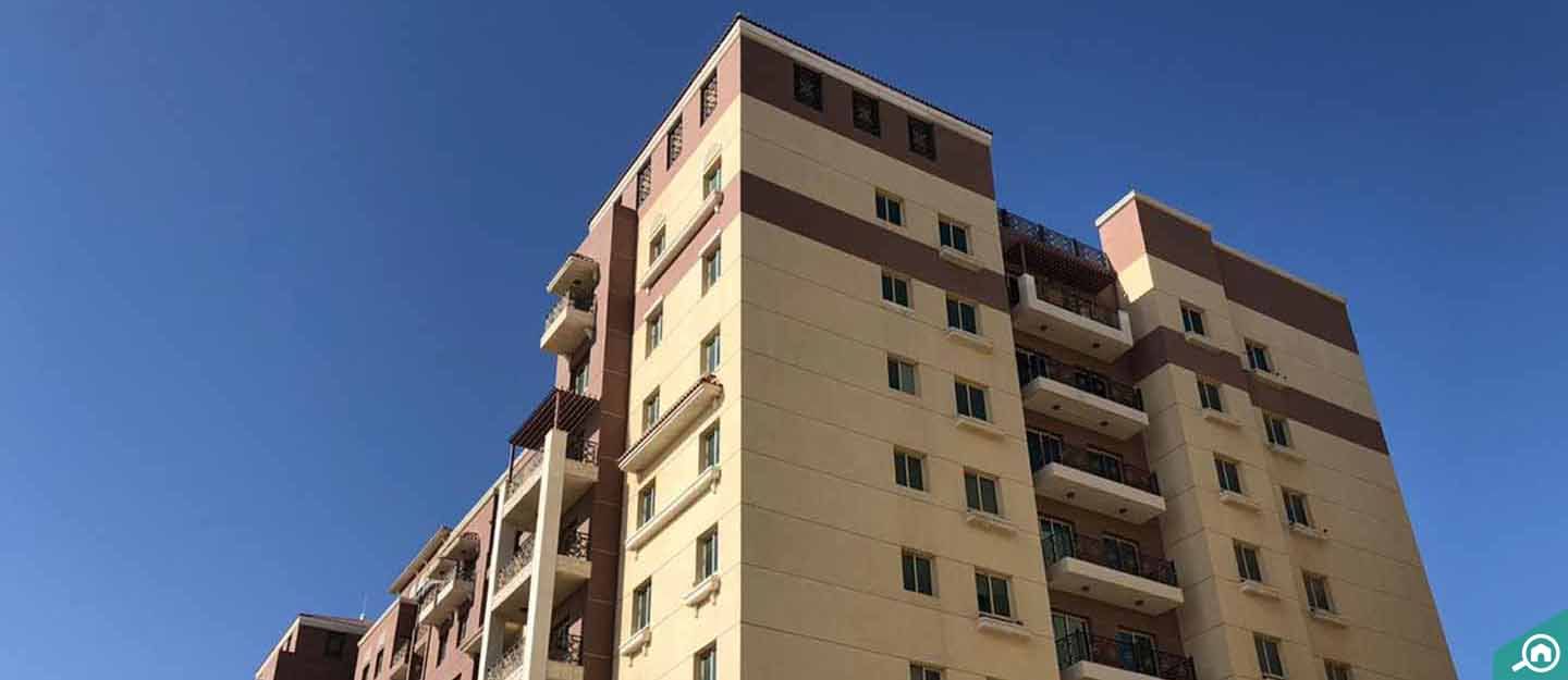 City Oasis 1 Building Guide | Bayut