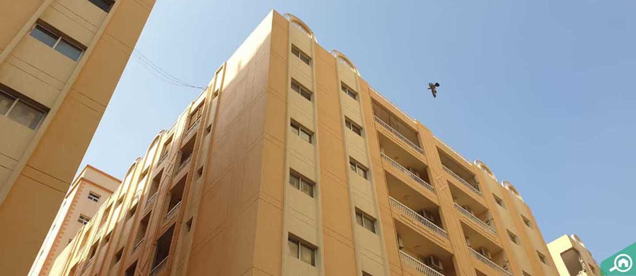 Cluttons B Building Guide | Bayut