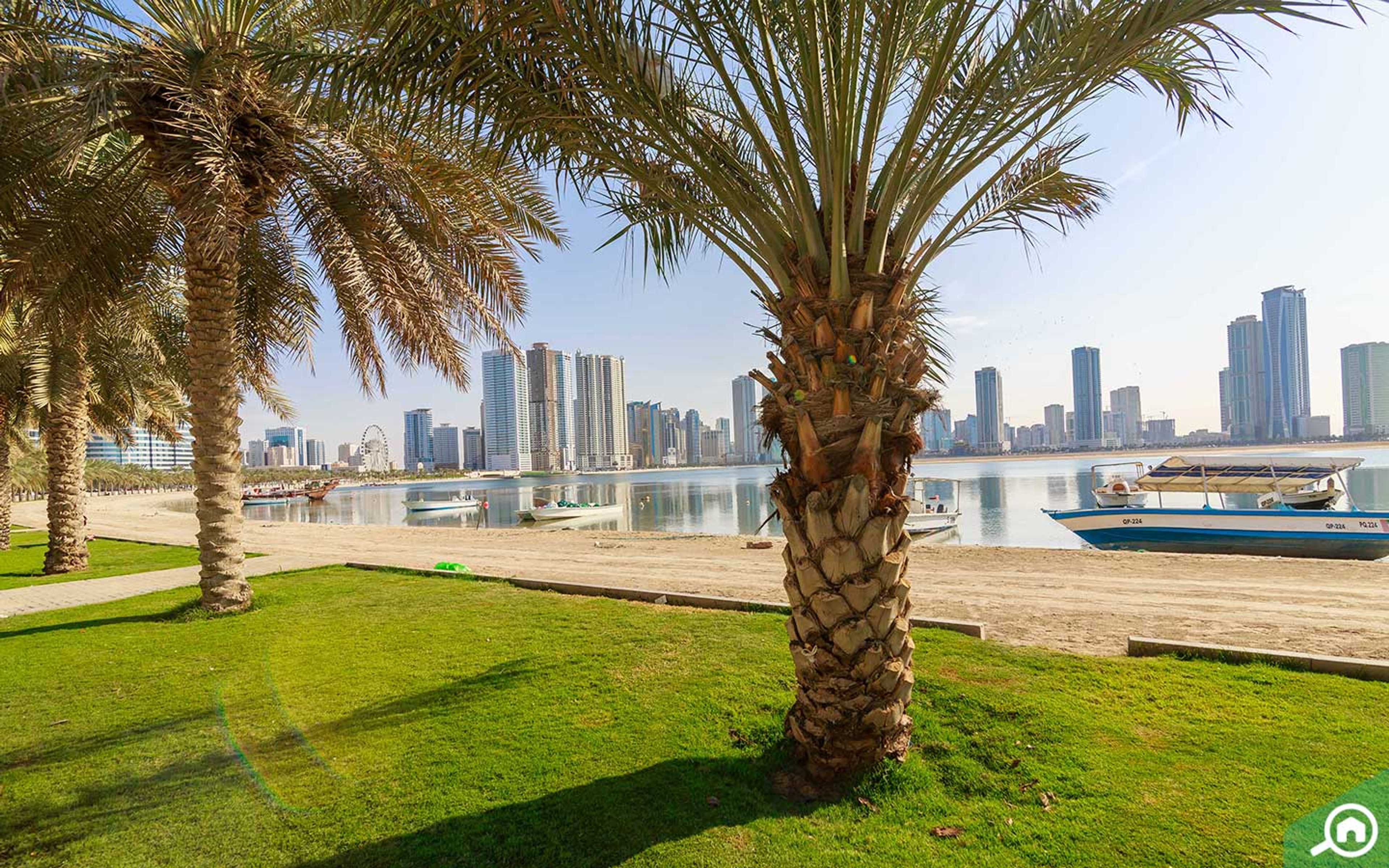 Al Raha Tower Guide | Bayut