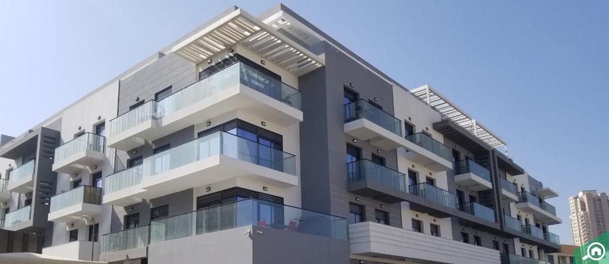 DMS Building Guide | Bayut