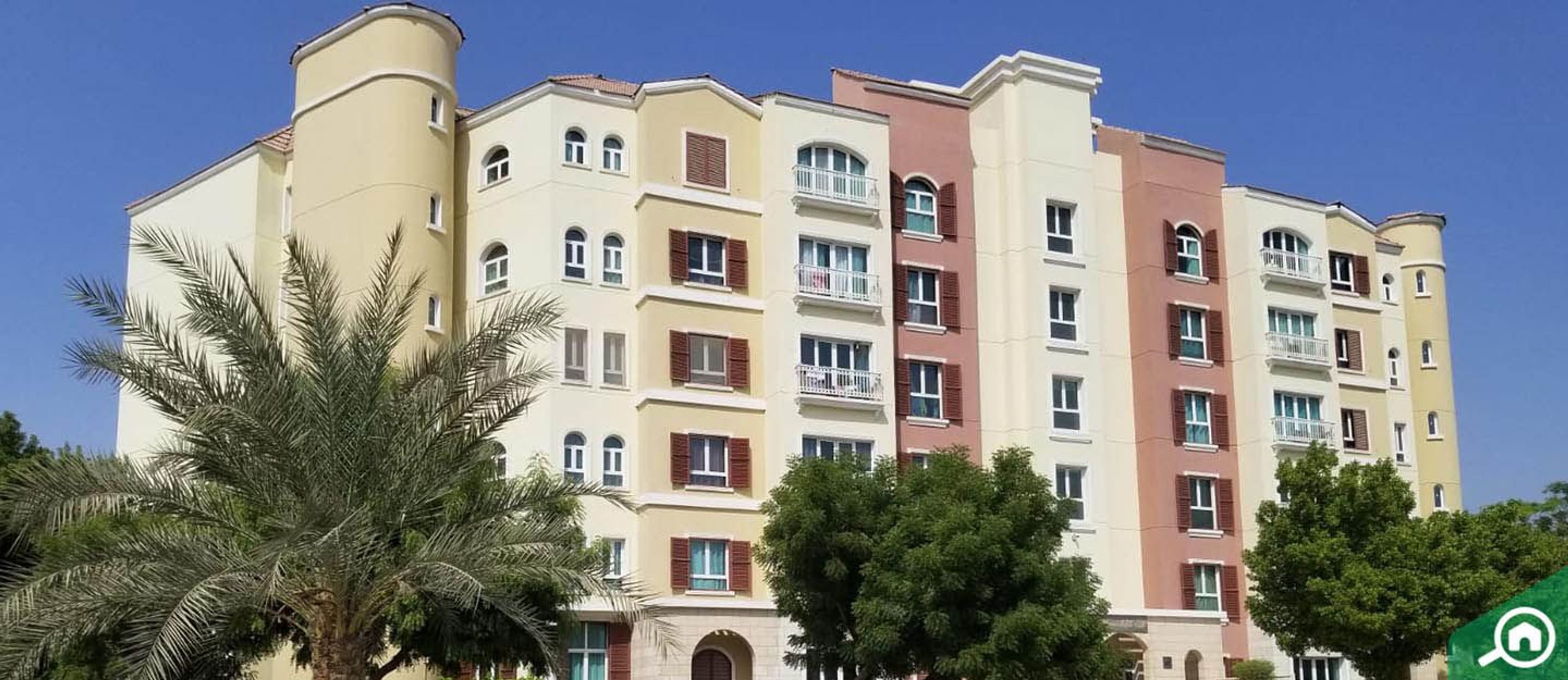 Building 67 Guide | Bayut