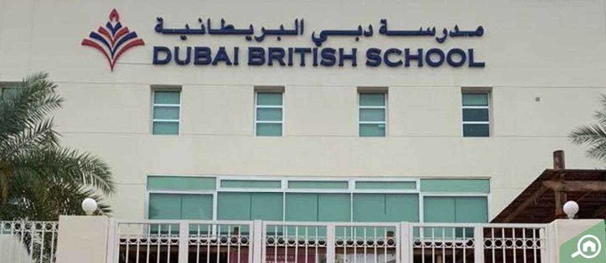 Guides for Schools in the UAE | Bayut