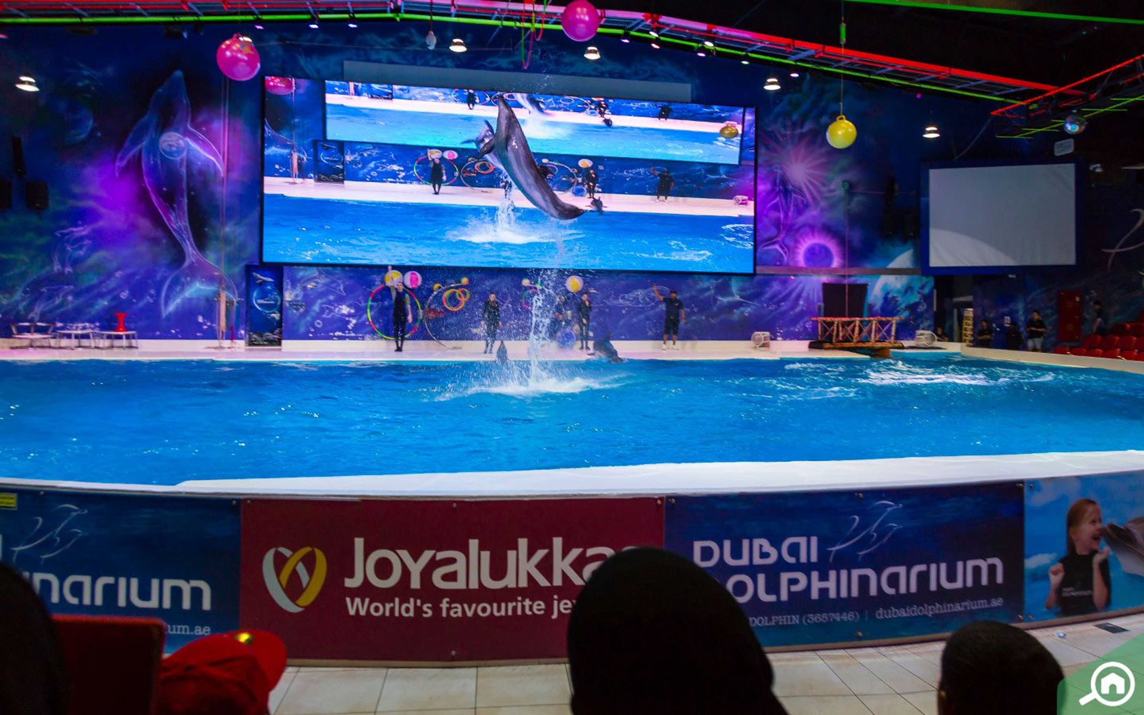 Wasl Topaz Building Guide | Bayut