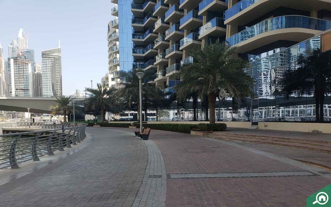 Orra Harbour Residences Guide | Bayut