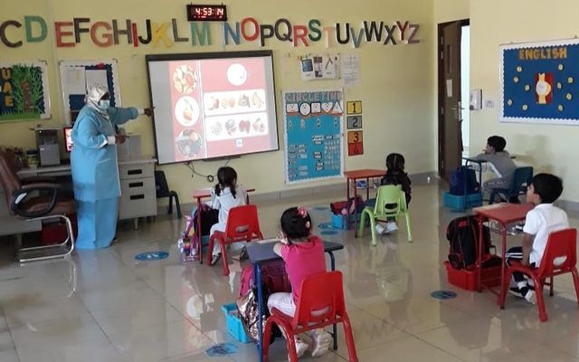 Emirates Falcon International Private School Guide | Bayut