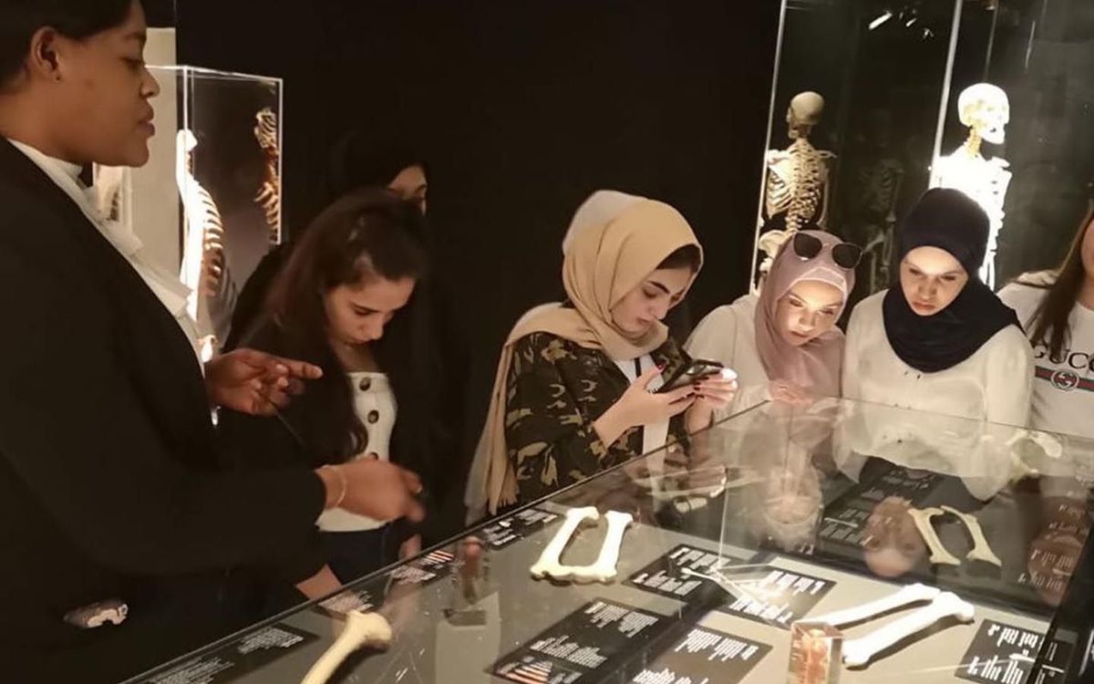 Emirates Falcon International Private School Guide | Bayut