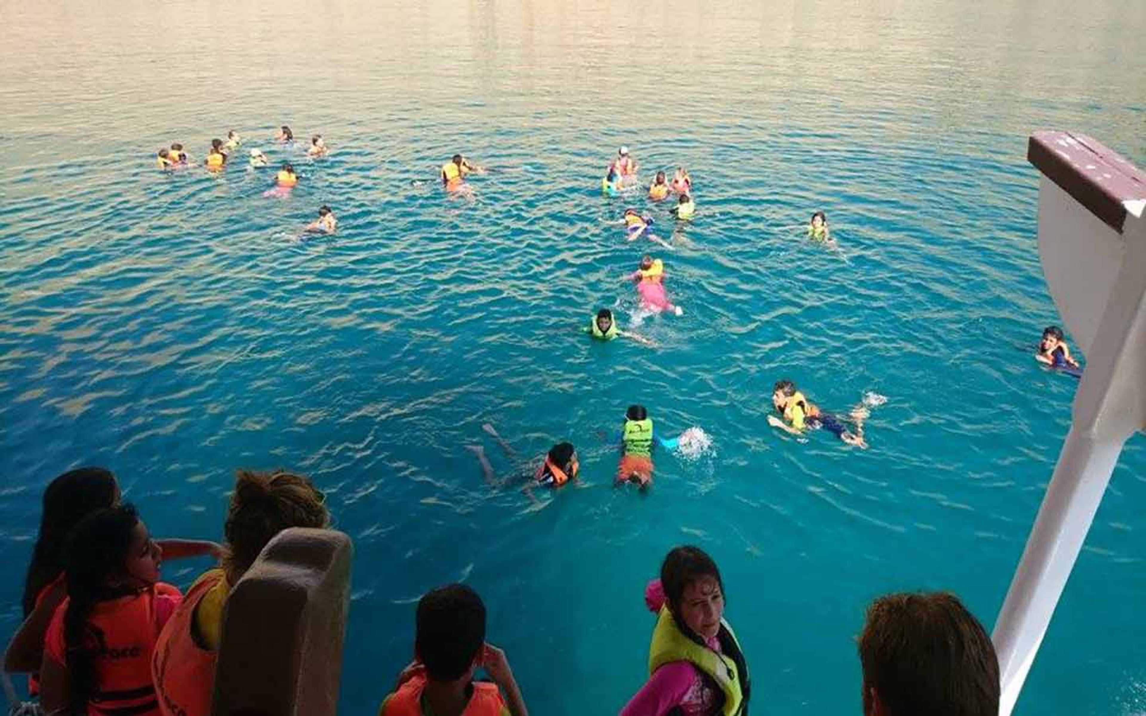 GEMS Royal Dubai School Guide | Bayut