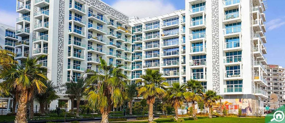 Dubai Studio City Building Guides: Properties, Prices, Service Charges ...