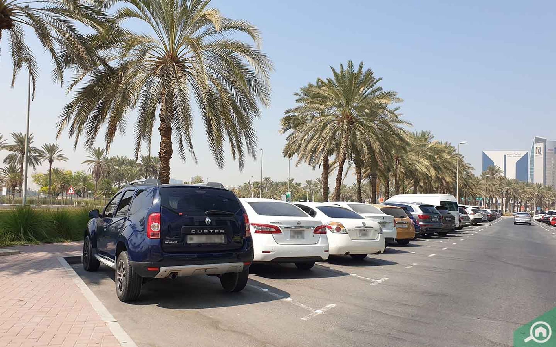 Green Tower, Deira Guide | Bayut