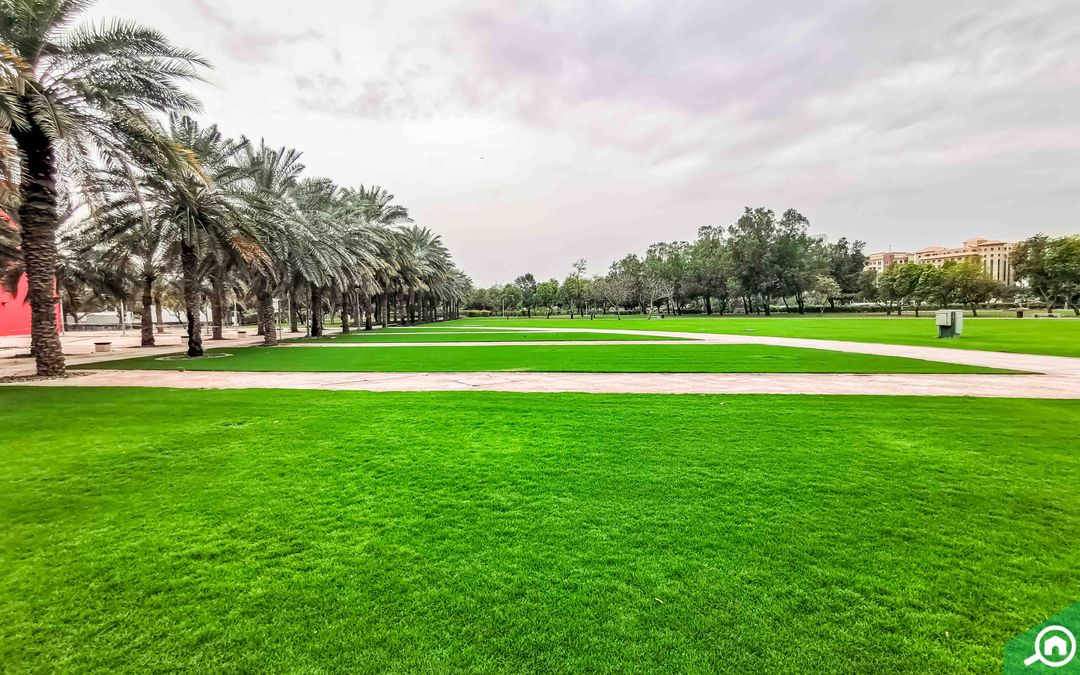 Centurion Star Tower Guide | Bayut