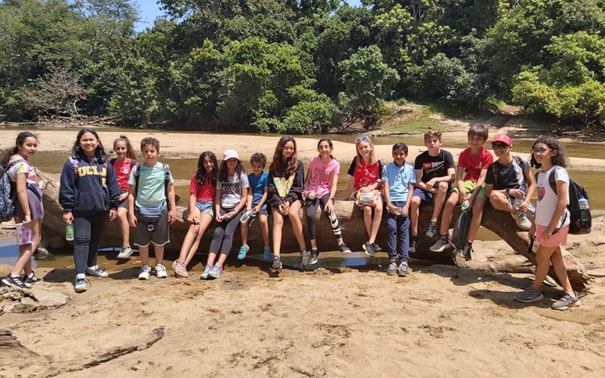 Raffles International School Guide | Bayut