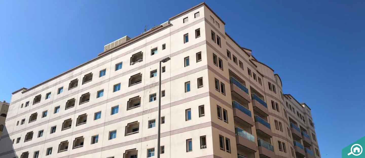 Rose 2 Building Guide | Bayut