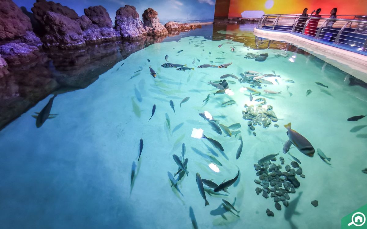 Al Tayer Building Al Nahda Guide | Bayut