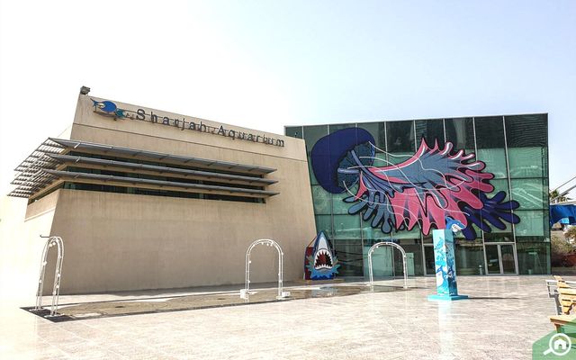 Manazil Tower 5 Guide | Bayut