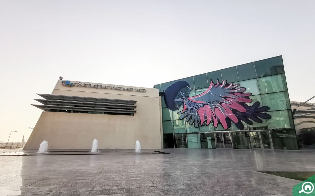 Al Saadah Tower Sharjah Guide | Bayut
