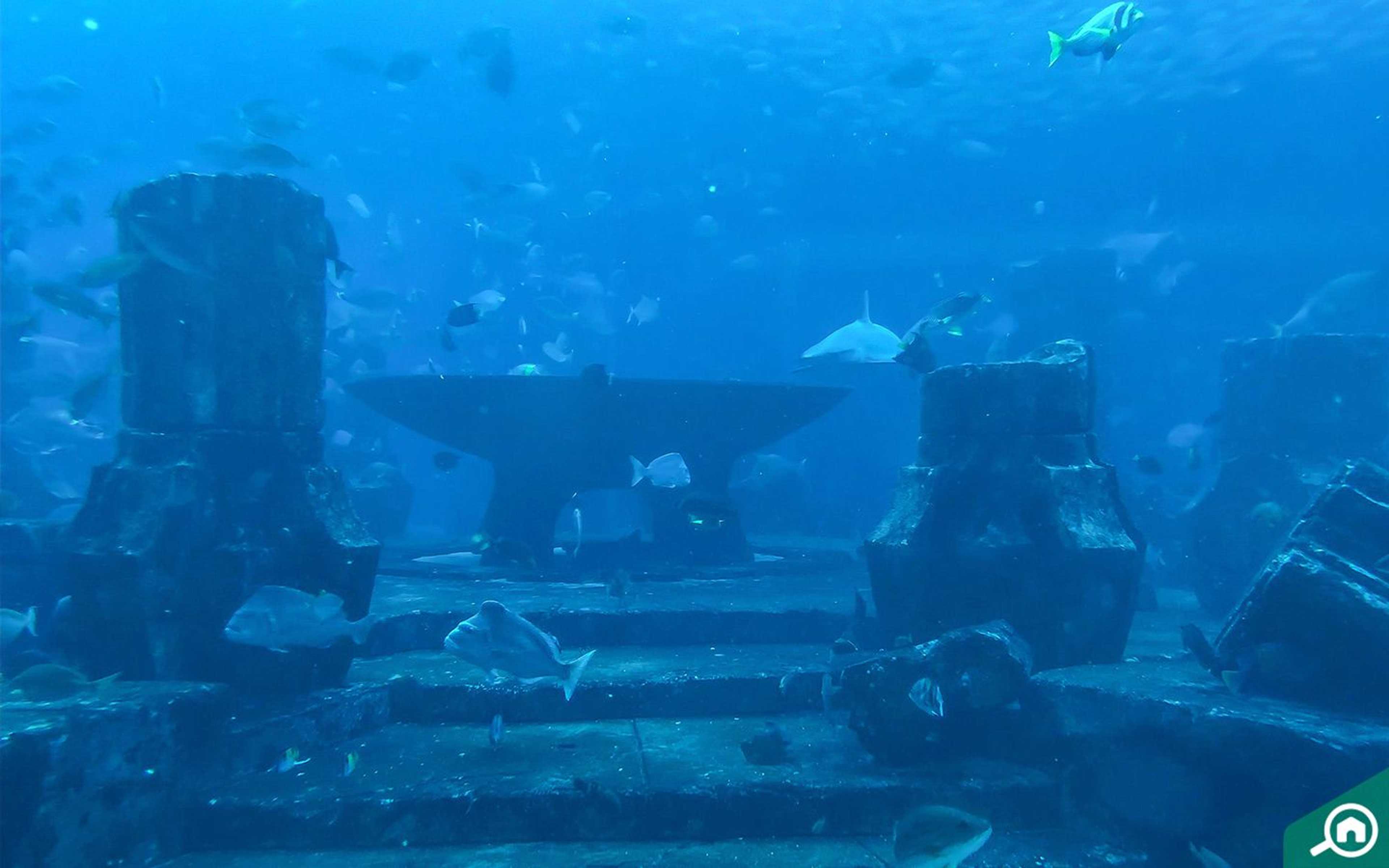 Tanzanite, Palm Jumeirah Building Guide | Bayut