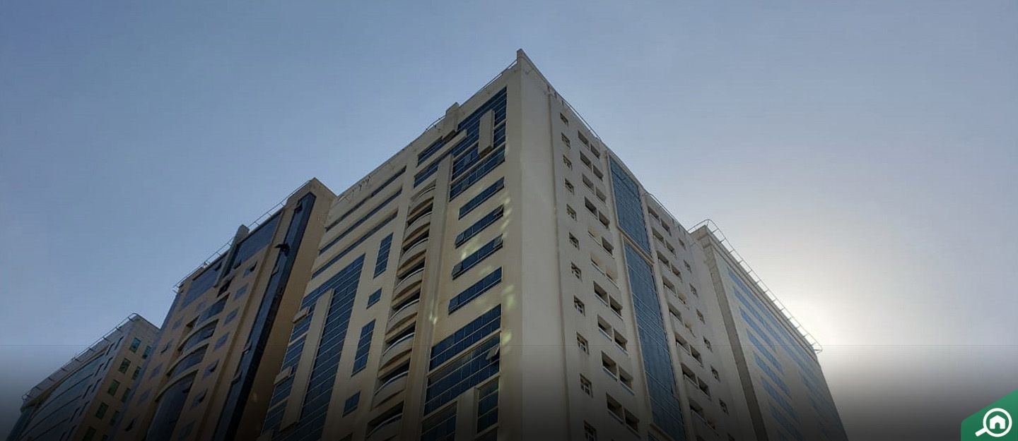 Tiger 1 Building Guide | Bayut