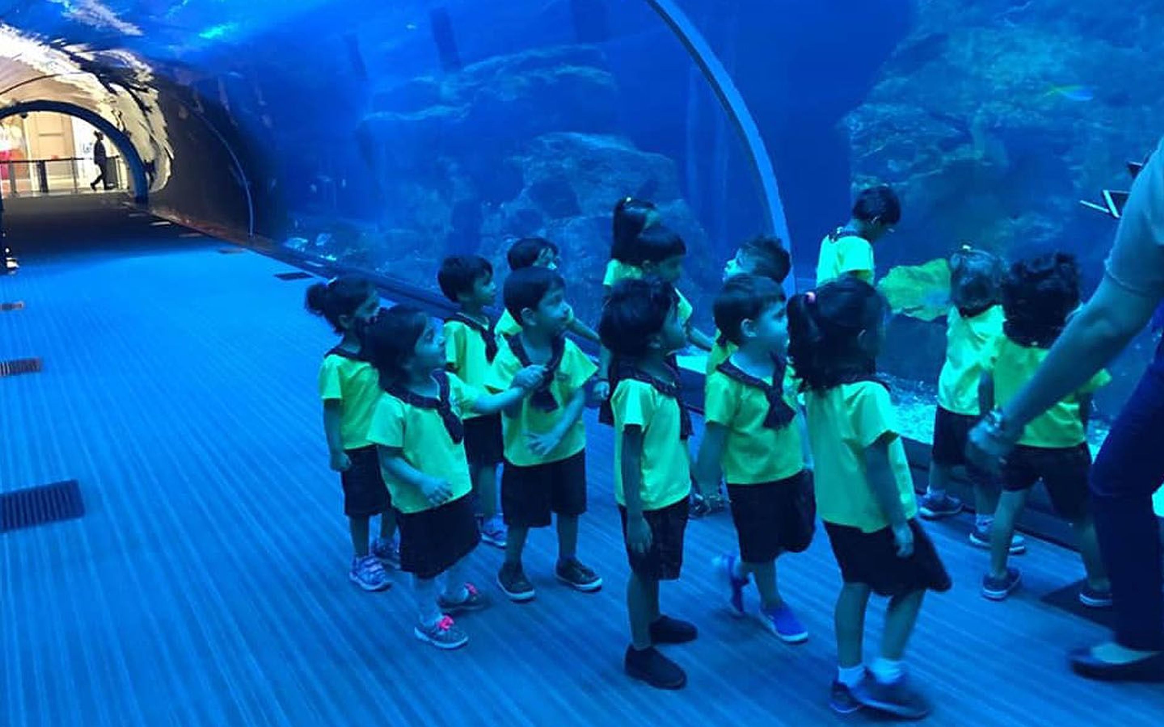 Toddlers International Nursery Guide | Bayut