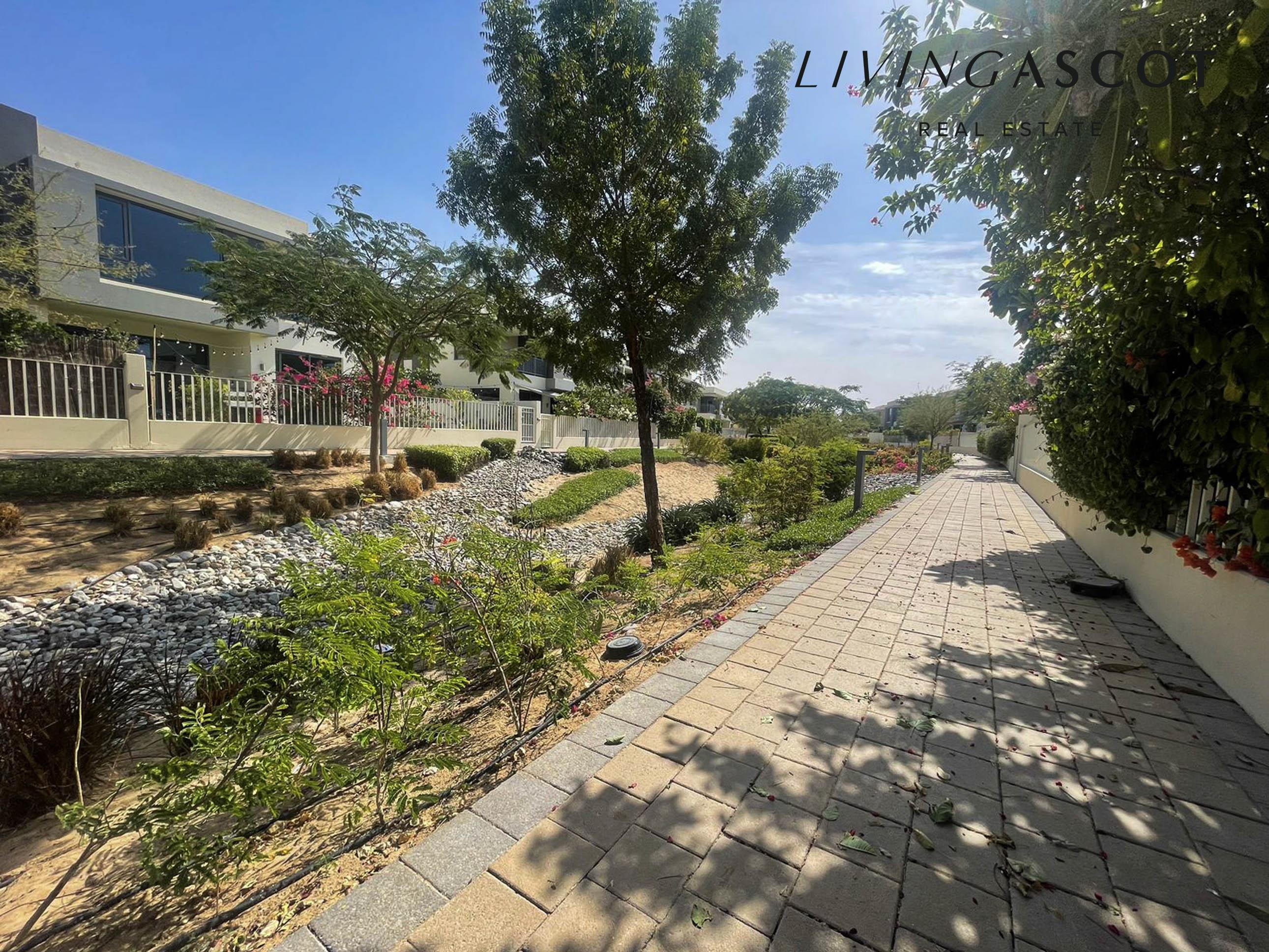 Maple Dubai Hills Area Guide | Bayut