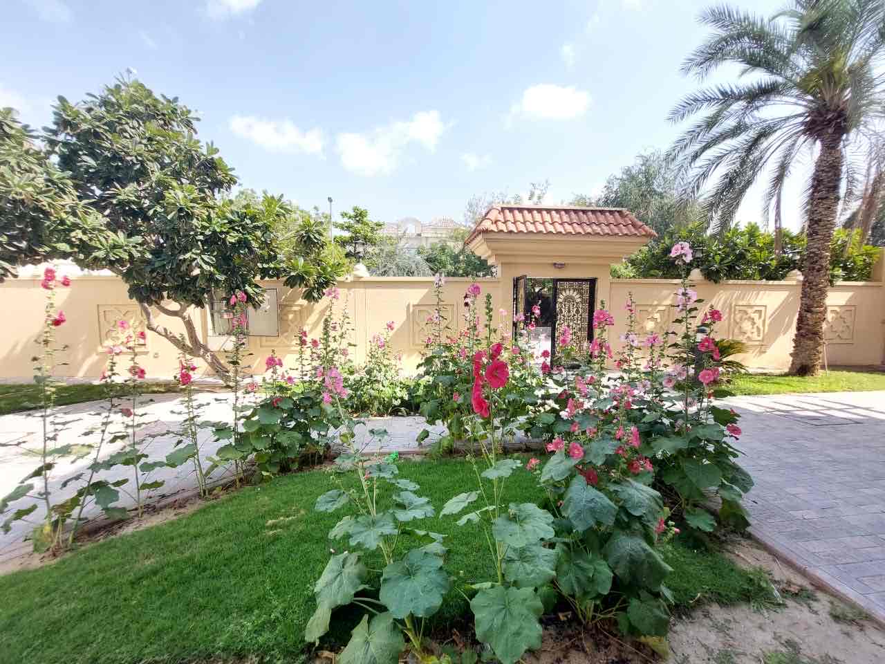 Al Warqaa 2, Area Guide | Bayut