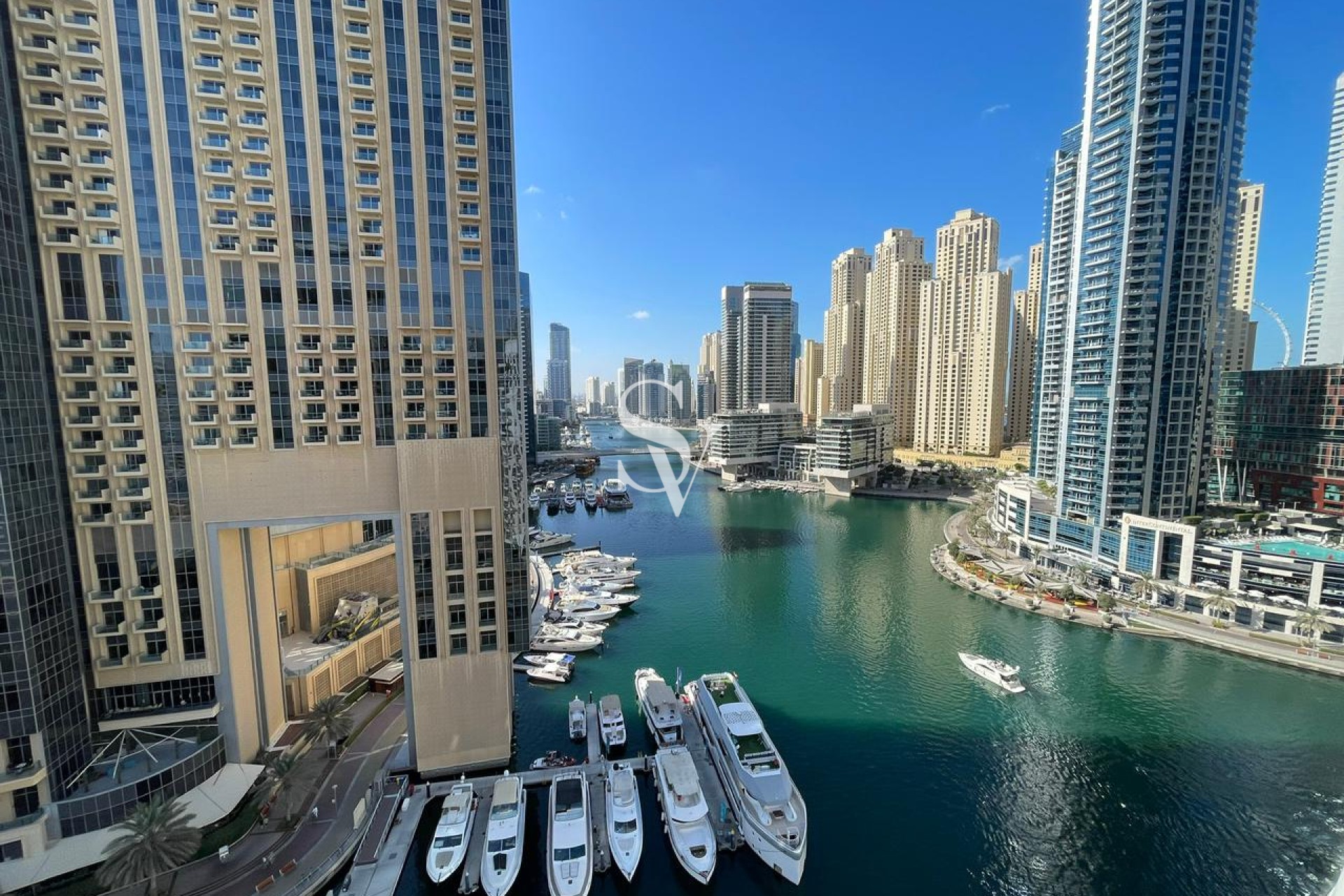 Dubai Marina Area Guide | Bayut