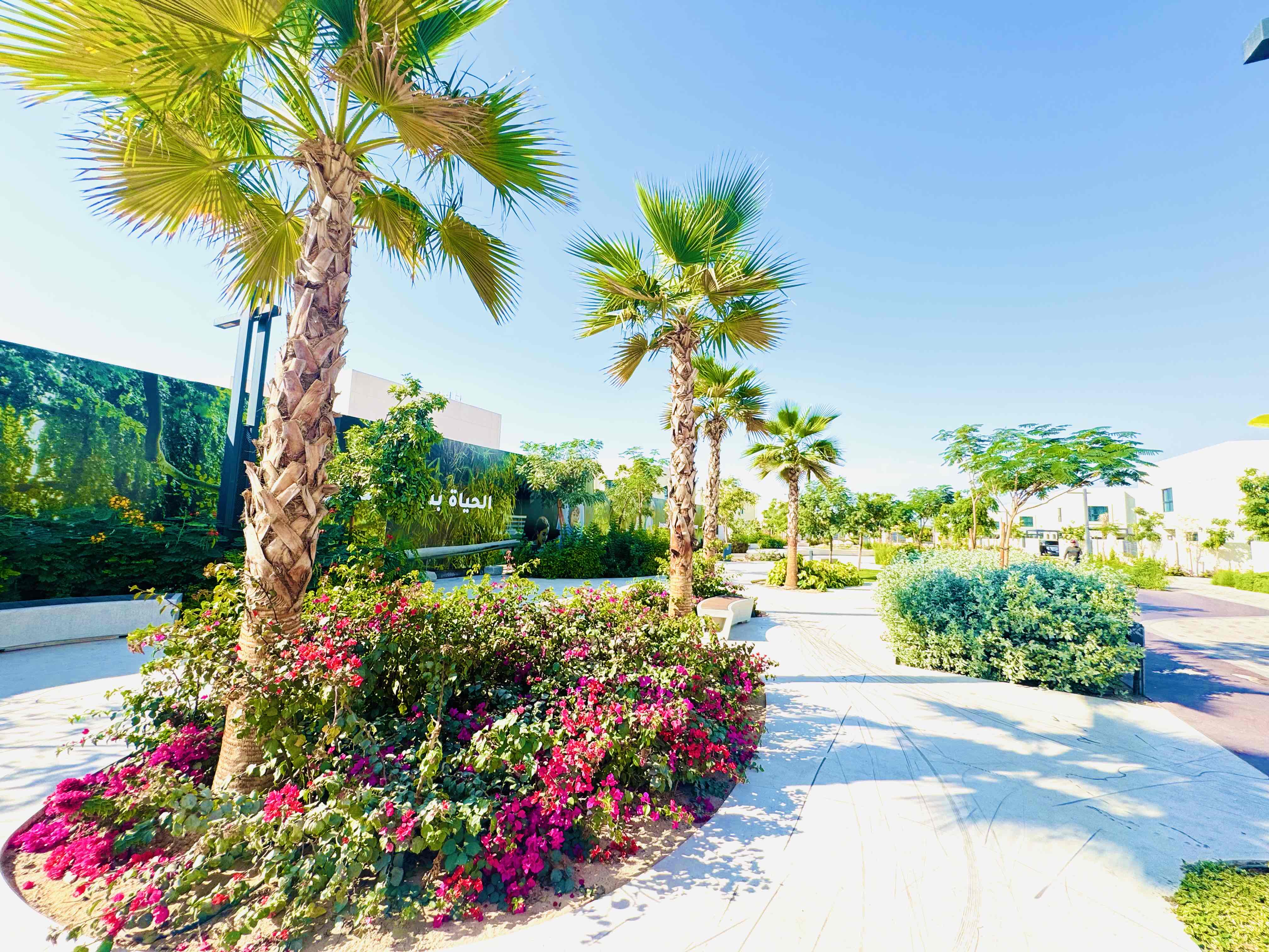 Al Rahmaniya Area Guide | Bayut