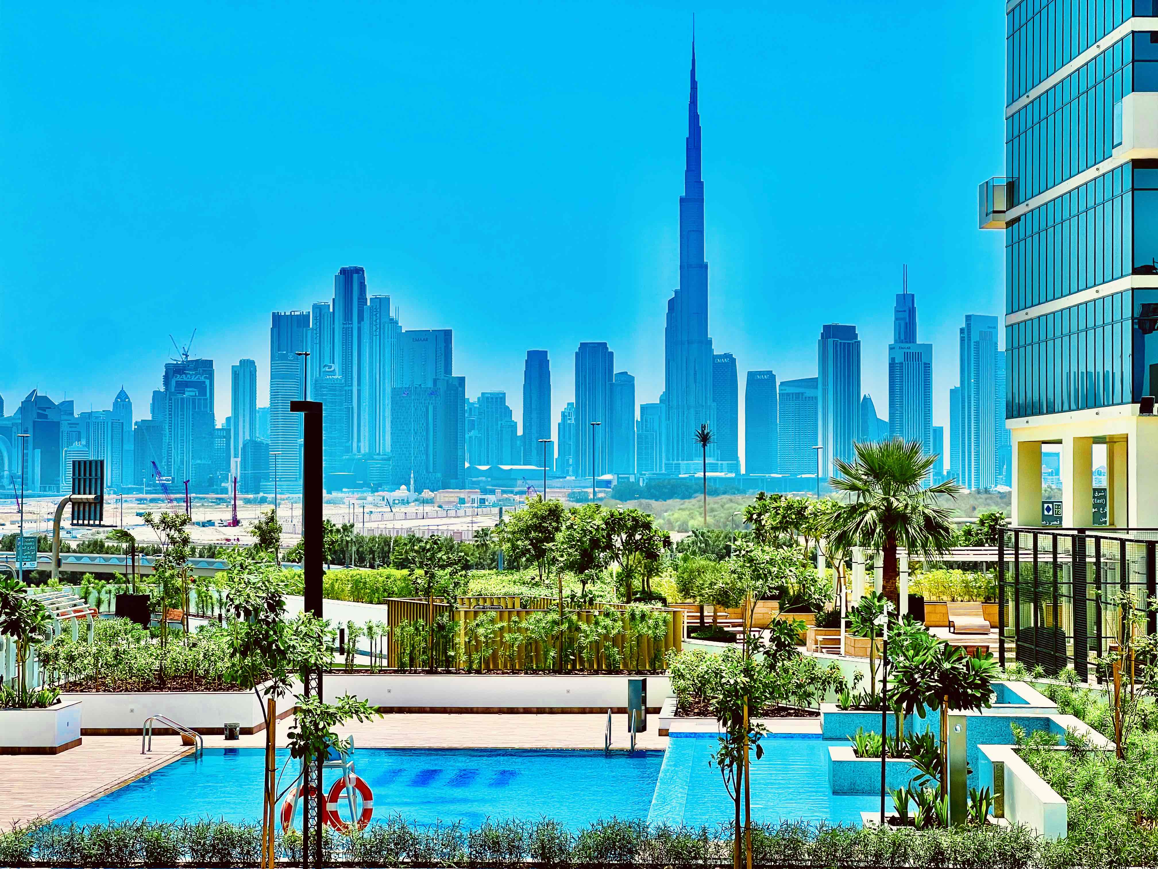 Al Jaddaf Area Guide | Bayut